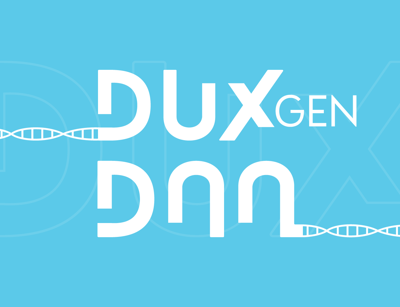 $1 Impact – Duxgen